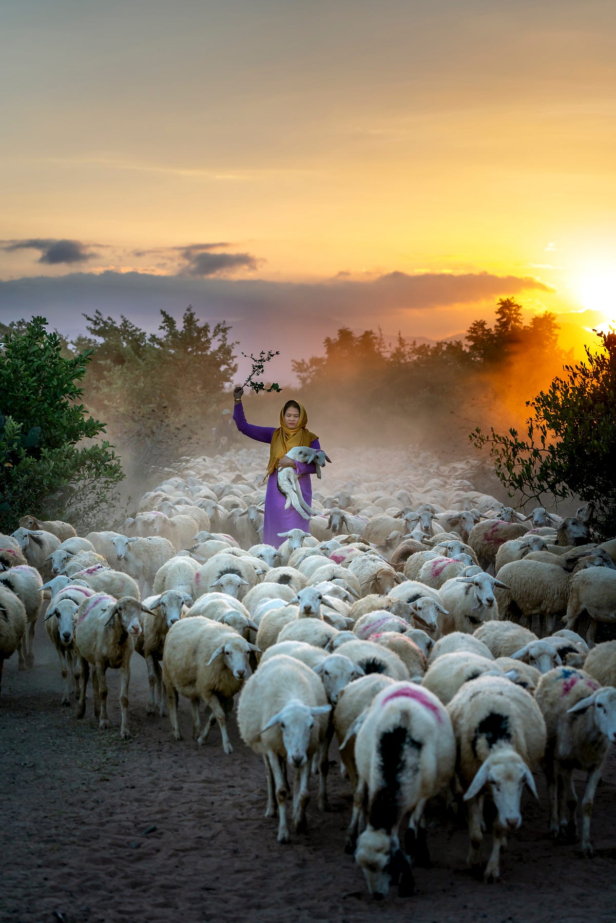 The Good Shepherd. A poem | by Felix Otoo | An Idea (by Ingenious Piece ...