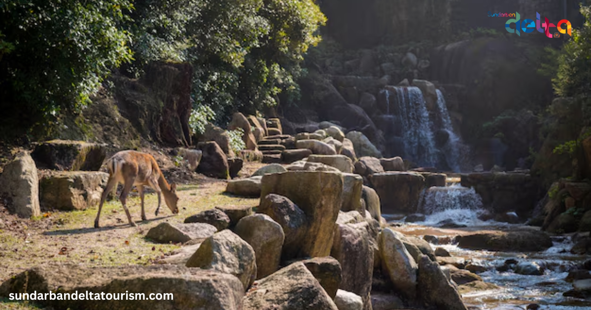Discover the Enchanting Sundarban Tourist Spot with Sundarban Delta ...