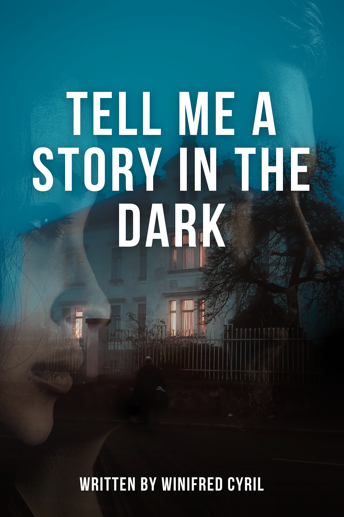 Tell Me A Story In The Dark. Chapter 3 — Questions | by Winifred Cyril ...