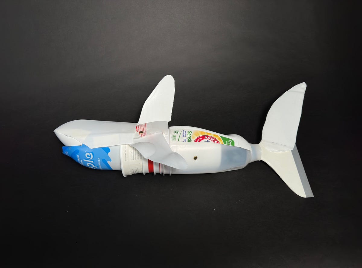 Plastic Animal. Task: Use your understanding of your… | by Brandon J ...
