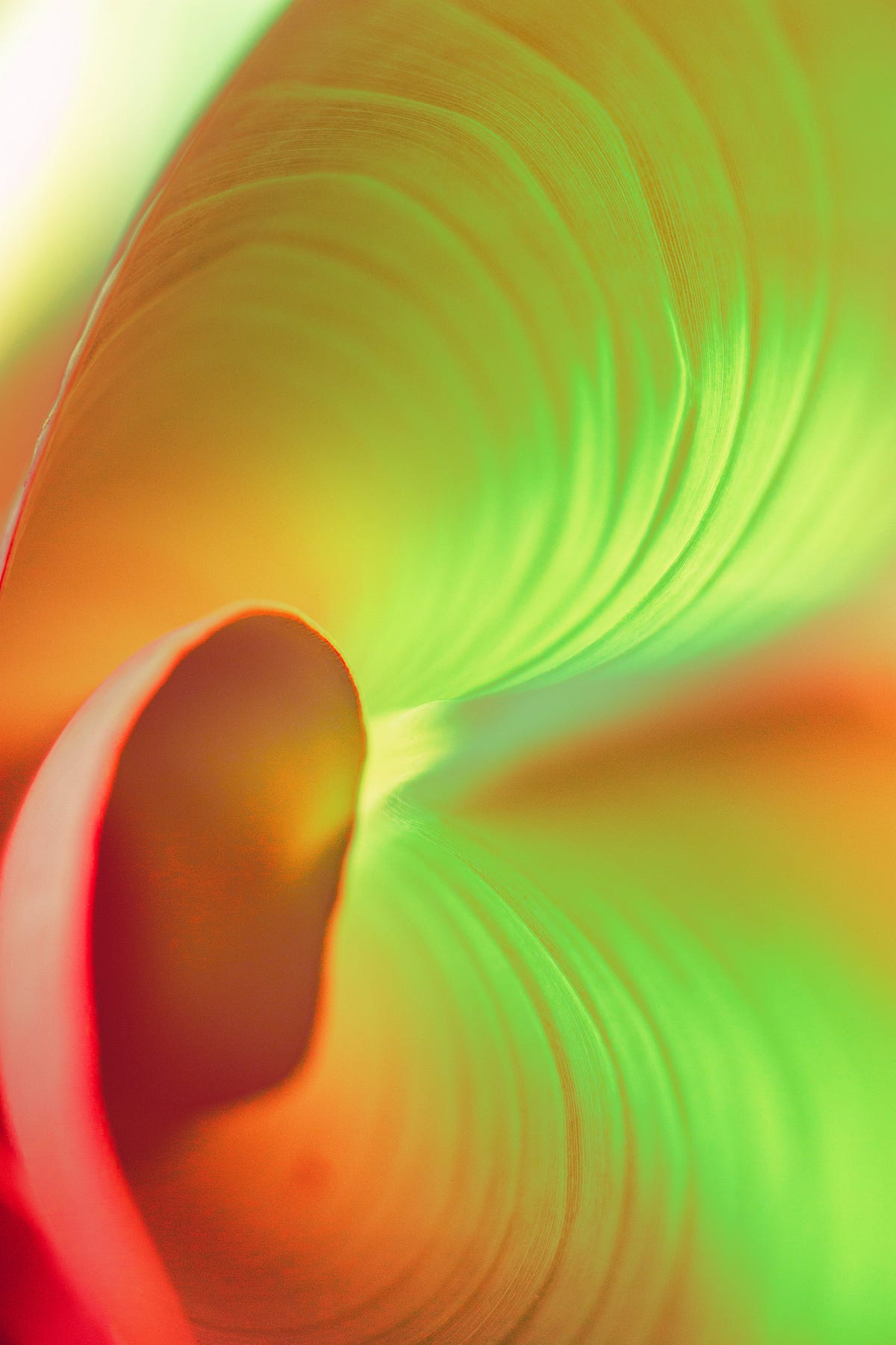 Haiku Diary 20 - Prolific Pulse - Medium