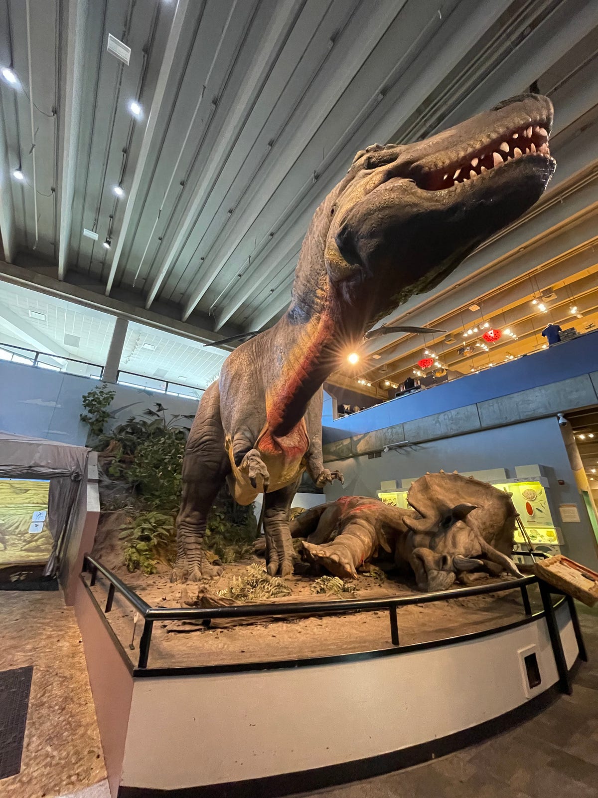 Memory Lane: St. Louis Science Center | by Brooke S. Groppe | Medium