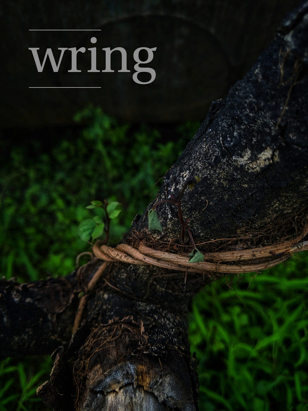 wring - An Idea (by Ingenious Piece) - Medium
