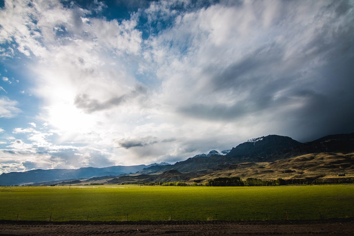 Sometimes you’ve got to let the fields go fallow. | by Joshua Burkhart ...
