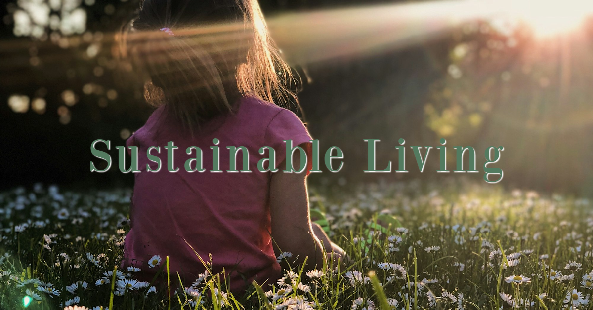 Adopt Sustainable Living with Simple Changes to Make a Big Impact | by ...