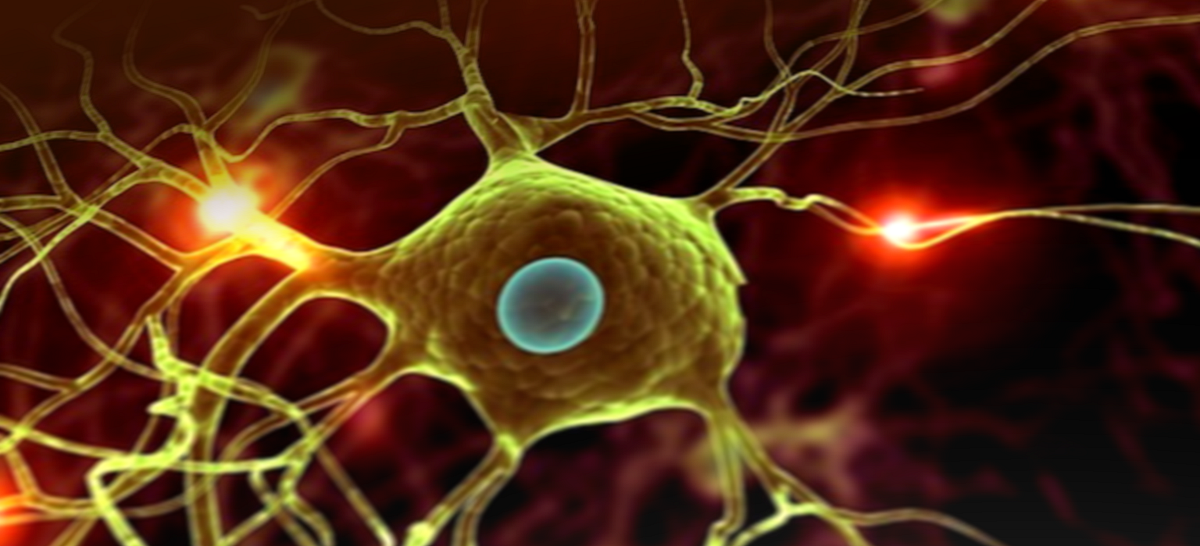 [COURSE] Modern Deep Learning in Python | by Lazy Programmer | Medium