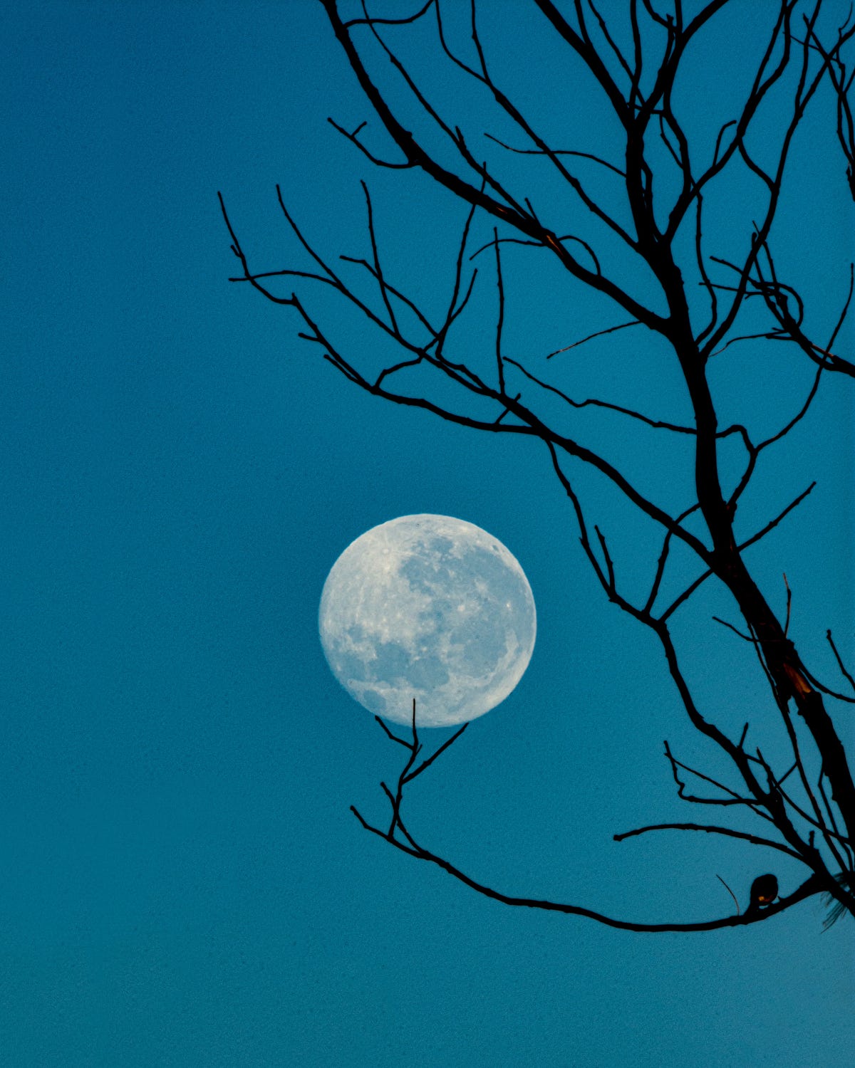 Caught \Into Mist. 04 April 2020 Saturday Poetry Prompt… | by J.D ...