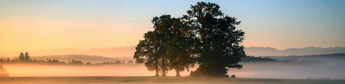 Mumbles of Roots and Rust: A Poem of Seasons | by Kingsley Gomes | Jan, 2024 | Medium
