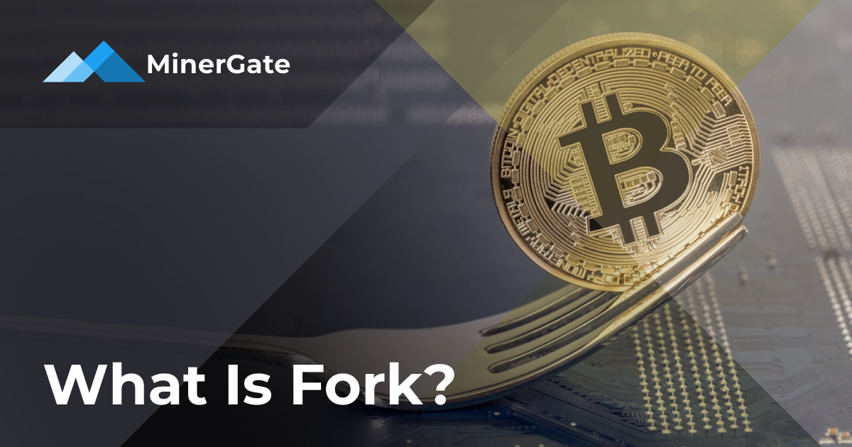 What Is Fork?. The general definition of a fork is to… | by MinerGate ...