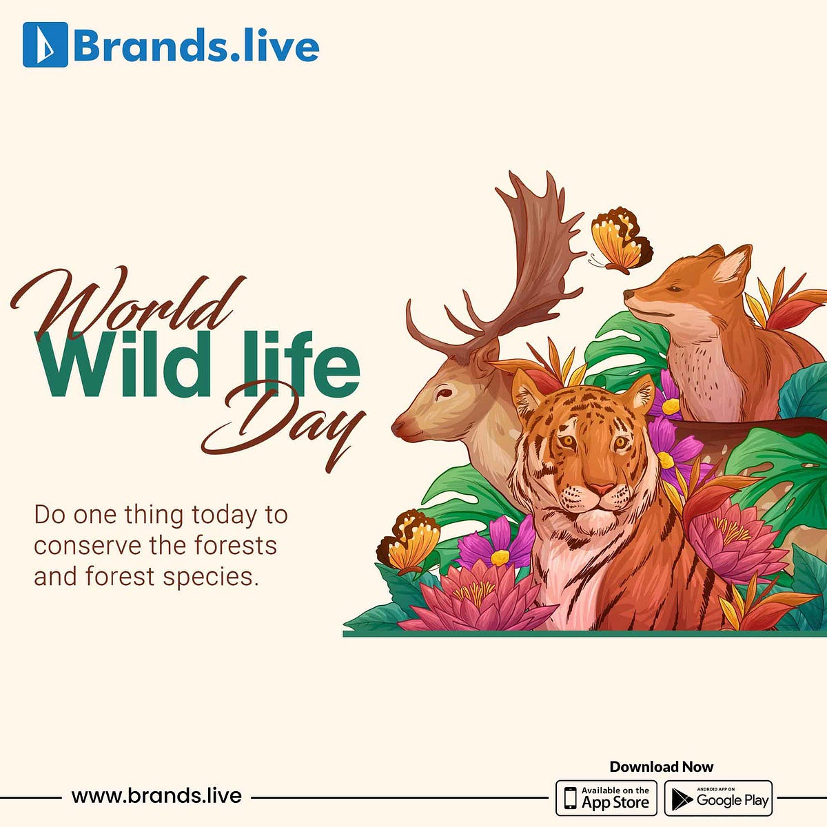 Celebrate World Wildlife Day: 5 Fun Ways To Show Your Love For Wild ...