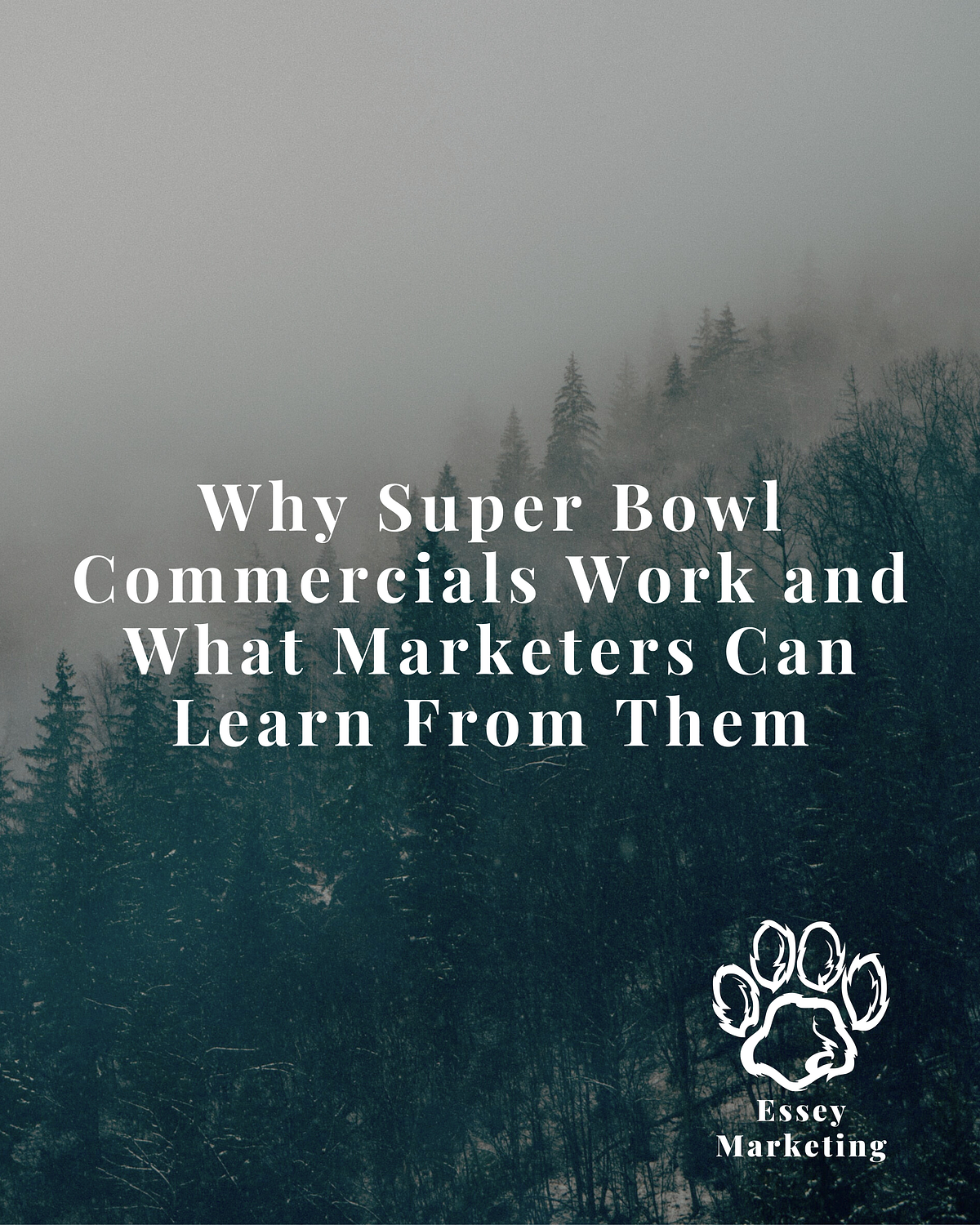 Why Super Bowl Commercials Work and What Marketers Can Learn From Them ...