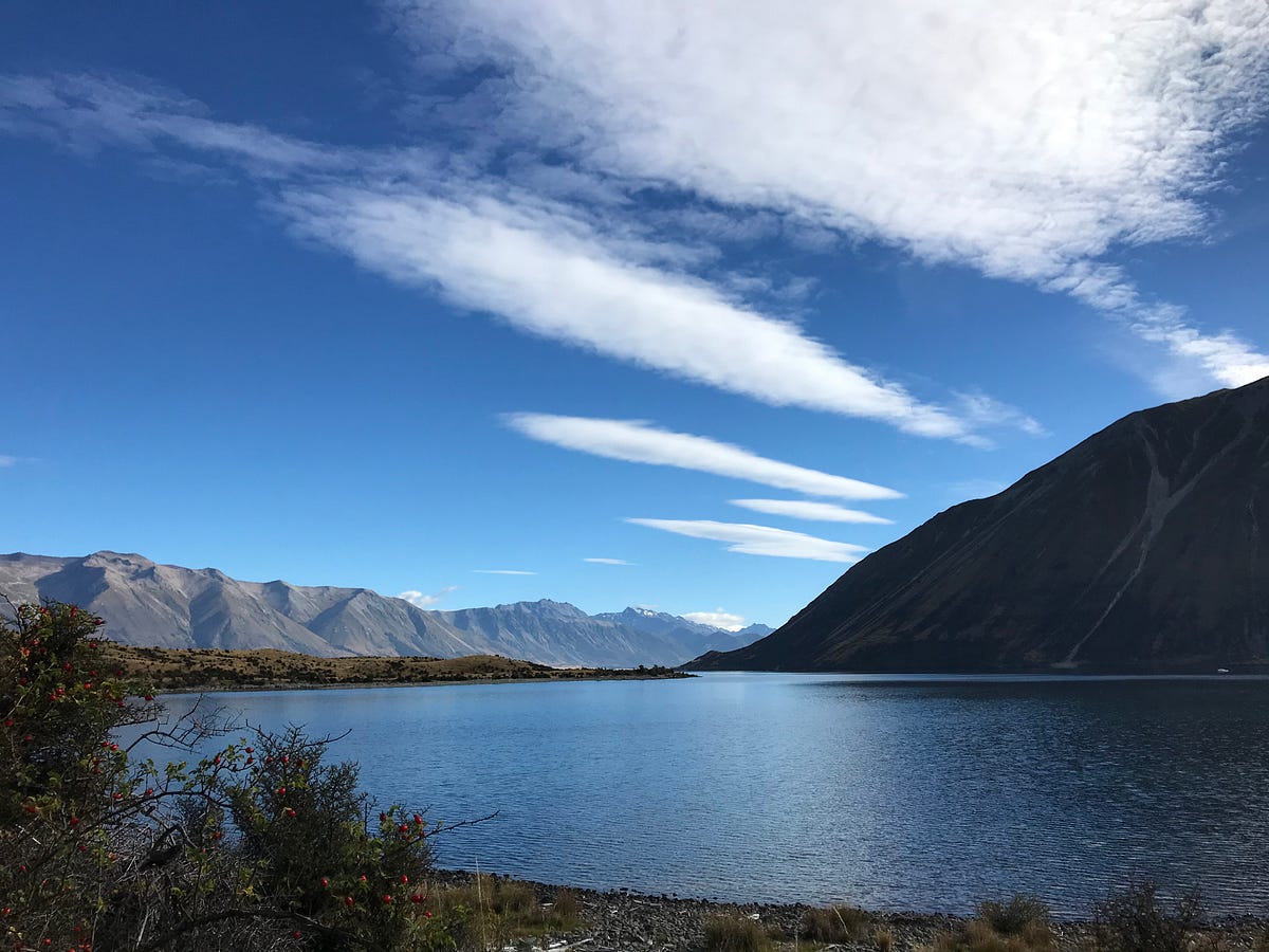 A VICIOUS CYCLE. We woke up bright and early to get… | by Billy Pirie ...