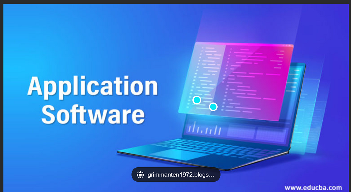 COMPUTER SOFTWARE:. Software are programs that provide… | by Najaf Ali ...