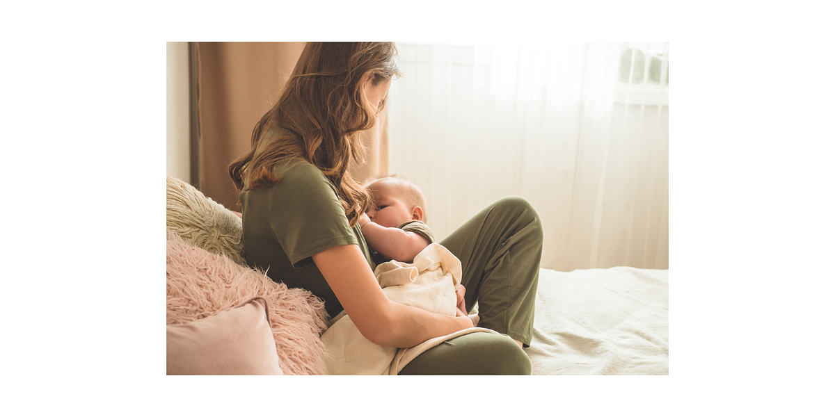 The Ultimate Breastfeeding Essentials Guide: The Essentials Toolkit for ...