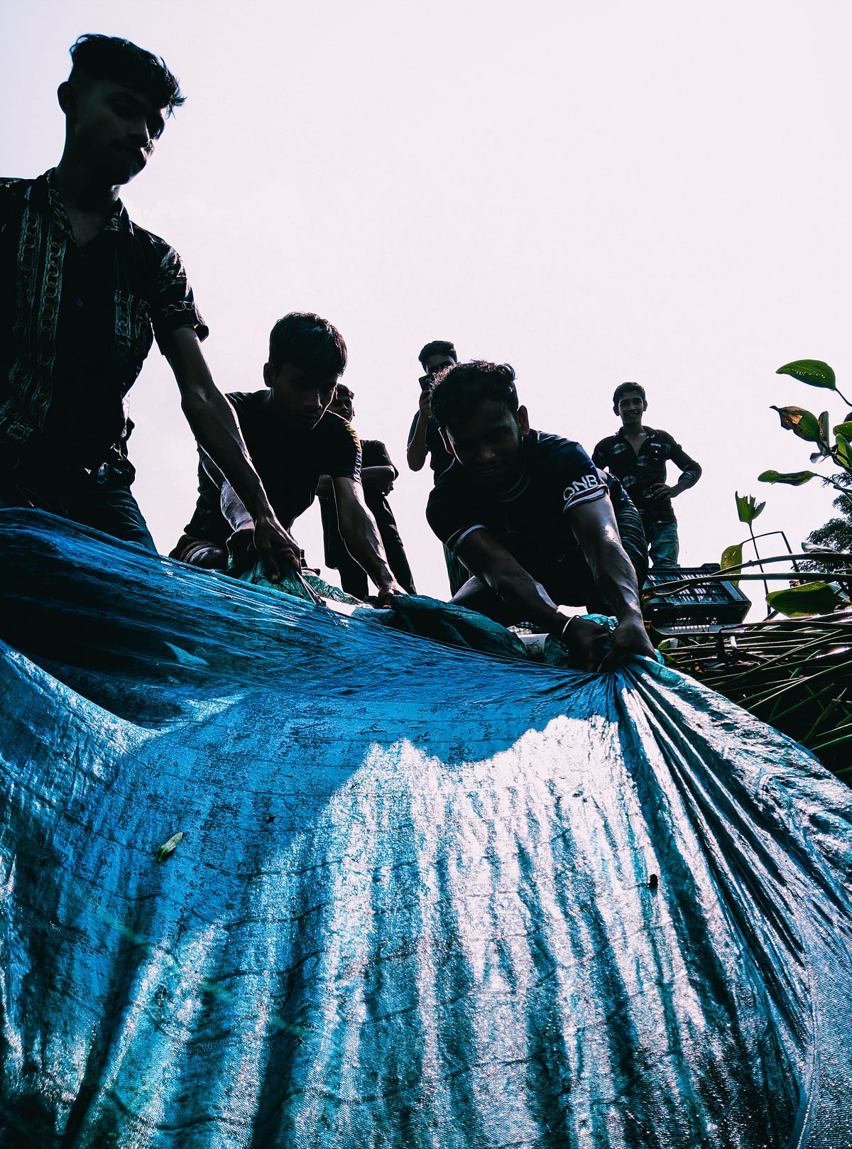 Unveiling the Versatility and Power of Tarpaulins: Your Ultimate ...