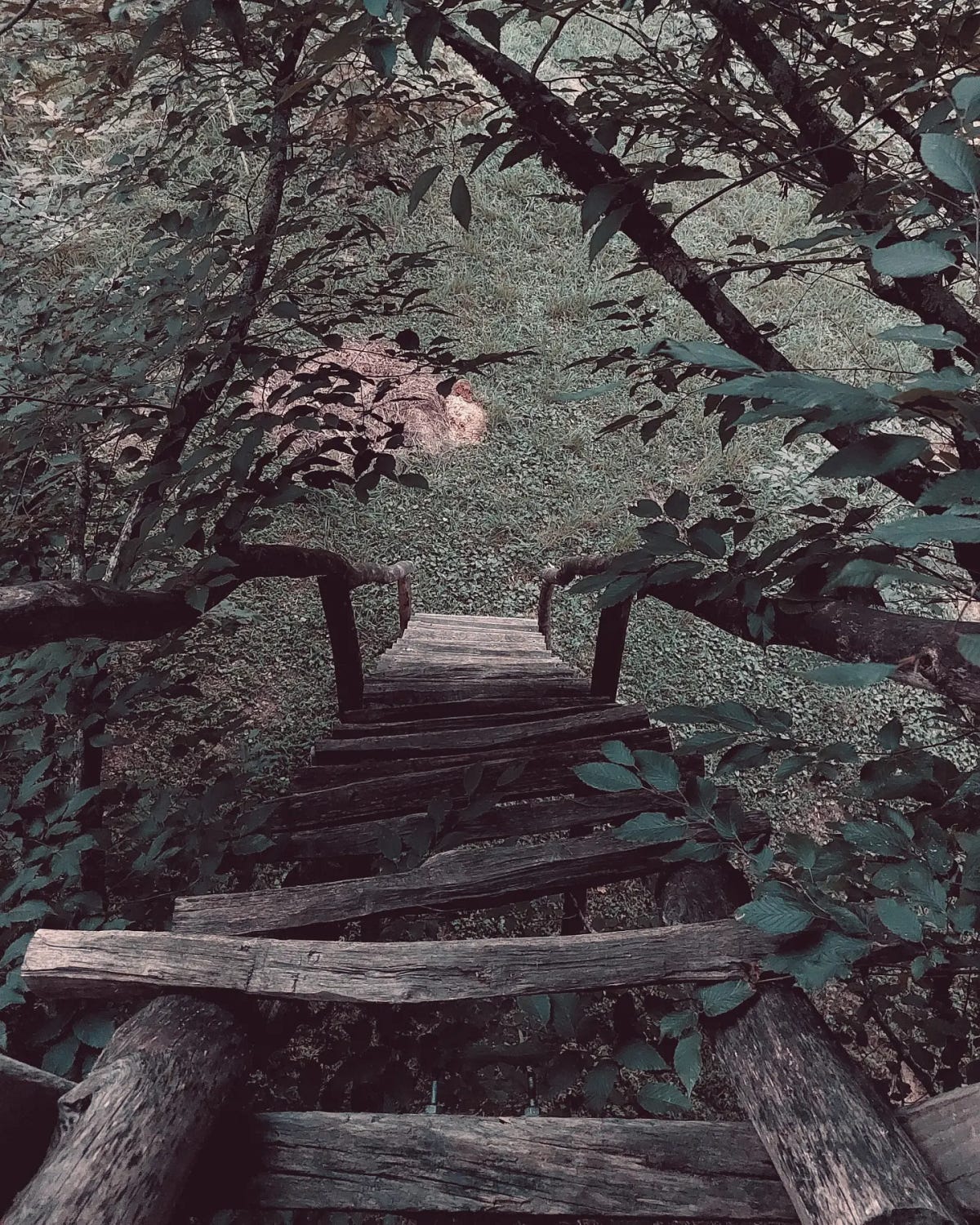 Dear August, I’ll never stop writing love letters and poems for you ...