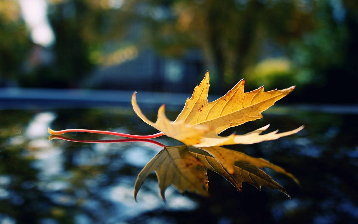 The Power of Reflection. The power of reflection is an idea that… | by ...