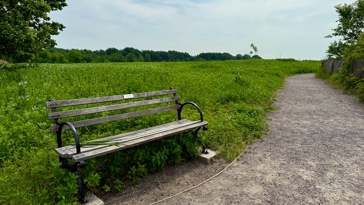 The Welcoming Embrace of Brian’s Bench: Join My 365-Day Peaceful Photo ...