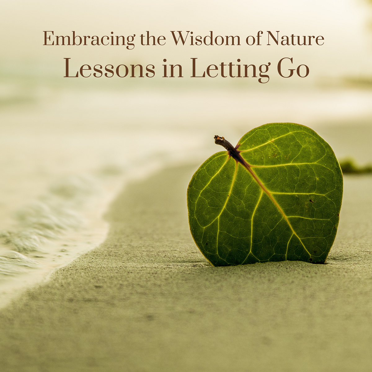 Embracing the Wisdom of Nature: Lessons in Letting Go | by Dina Al ...