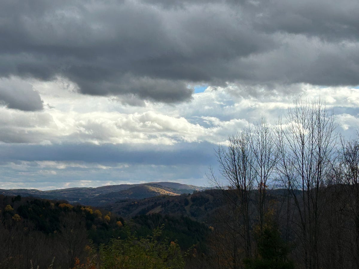 The Hunting of the Innocent…. My husband Jon and I walked up our… | by ...