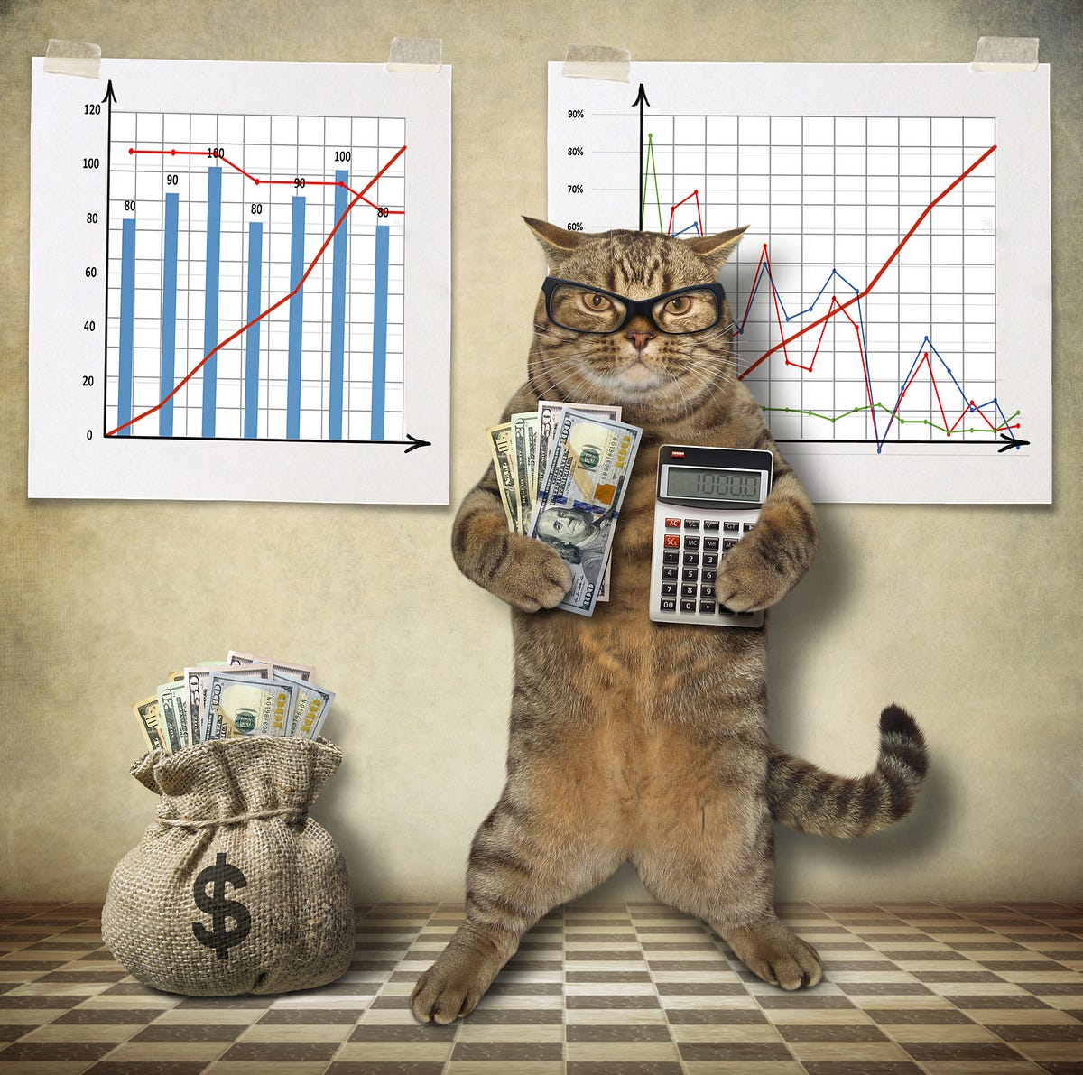 Get Paid to Search Adobe Stock! ¹ | by Christopher Smith | Adobe Tech ...