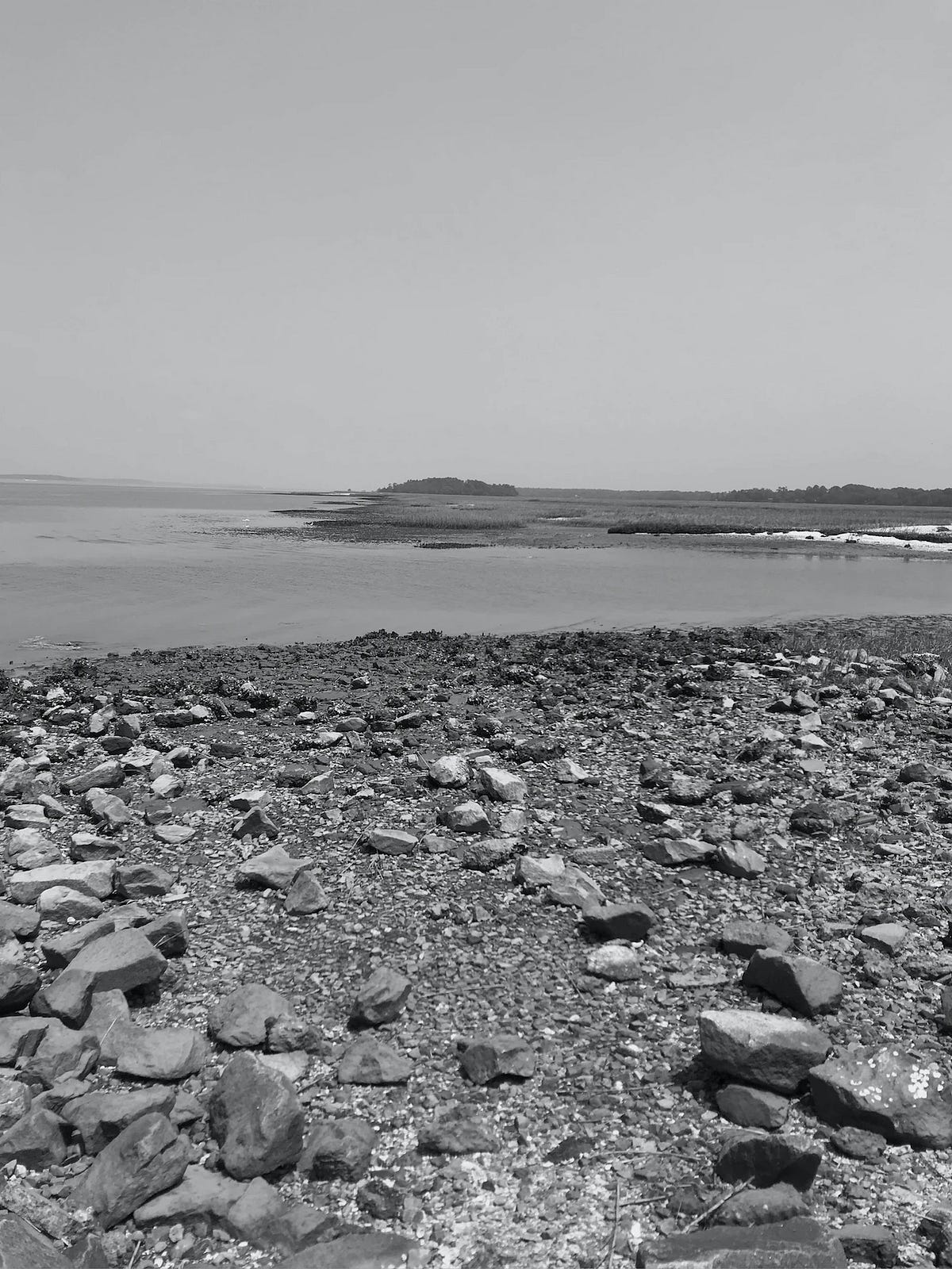 Lowcountry Scenery - Chad Nathan - Medium