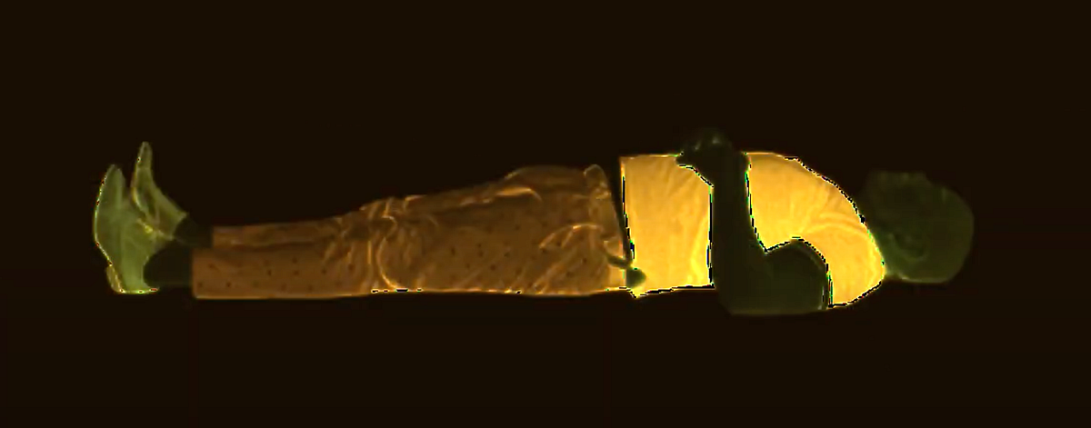 Video Collage - 4D STUDIO - Medium
