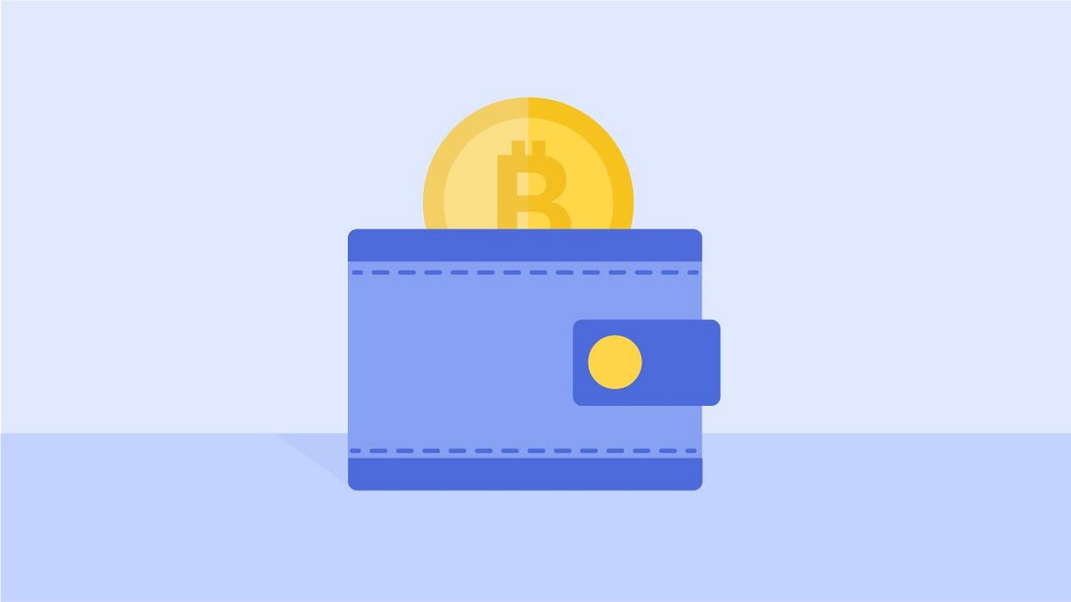 5 Legendary Bitcoin Wallets: From Satoshi to 10,000 BTC for Pizza | by ...