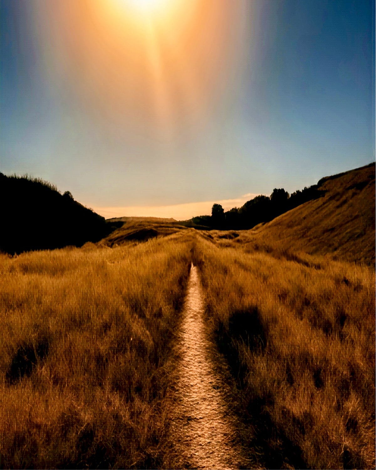 The unpaved mile. Chart your own path | by Gerard Pepin | Dec, 2025 ...