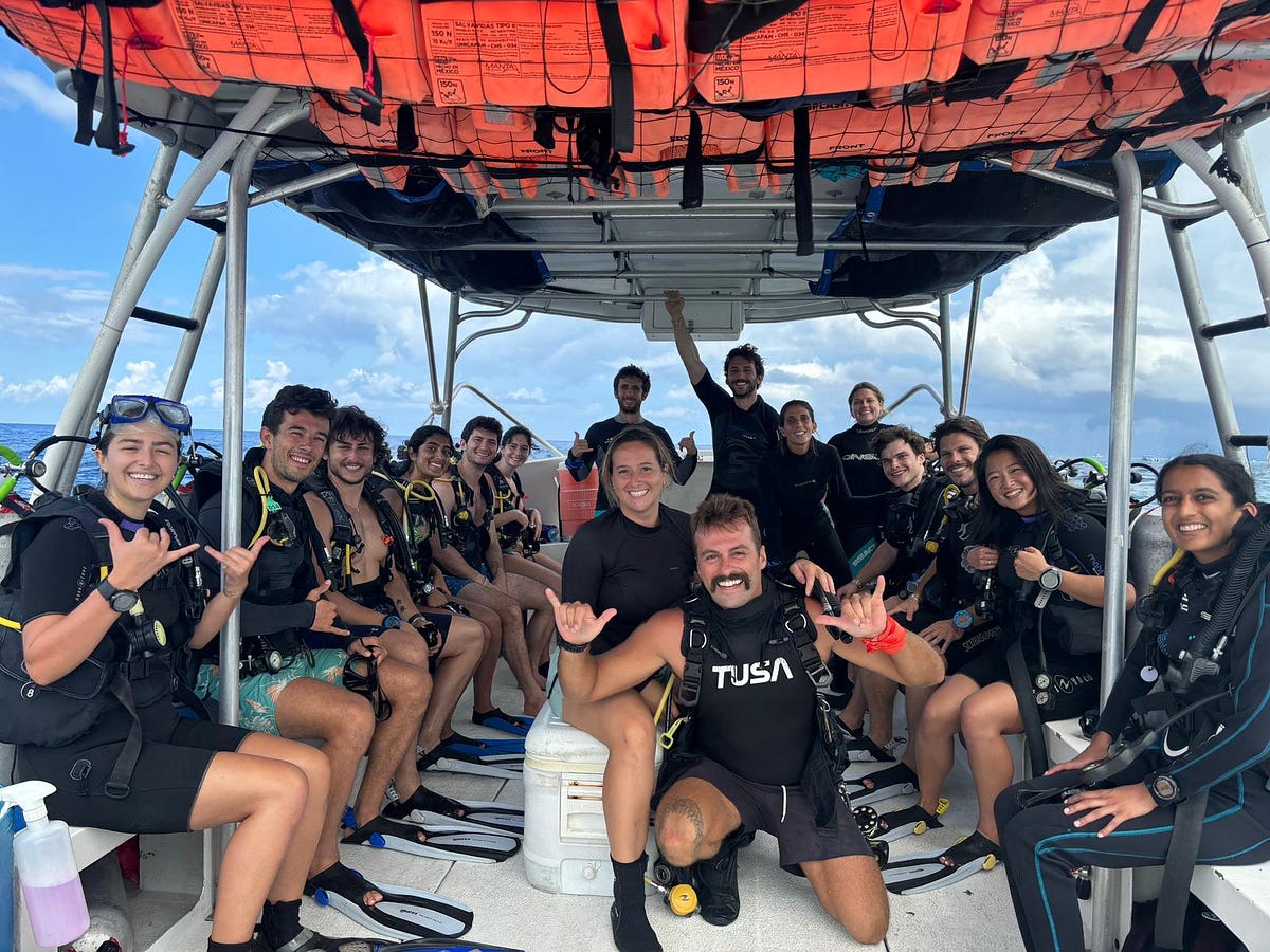 Dive Deep, Live Bold: Tales from Cozumel Scuba Adventure Told | by Sam ...