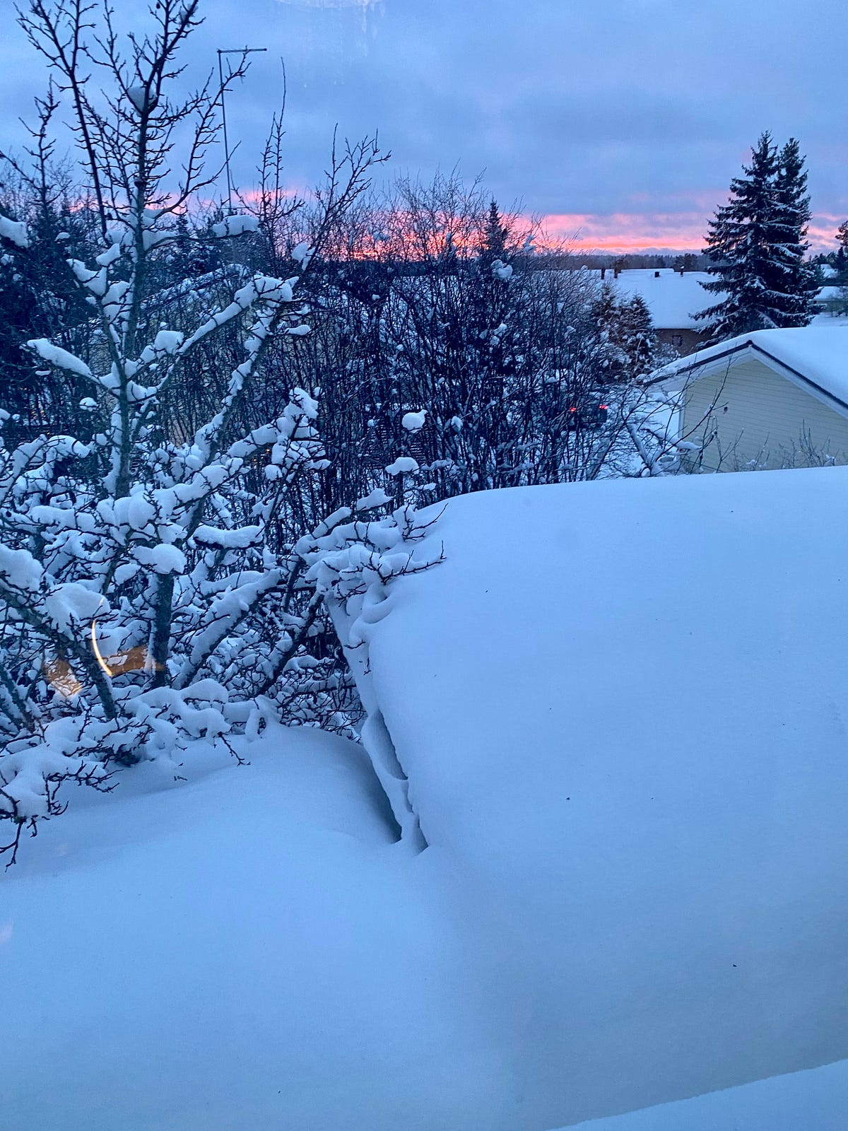 Winter Wonderland Fun. January Six Word Photo Story Challenge… | by ...