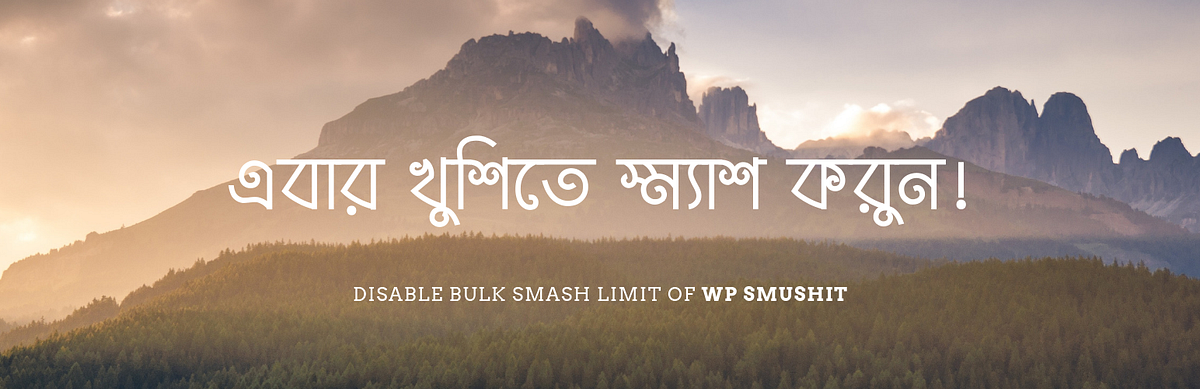 Disable Bulk Smush Limit of WP Smushit | by Md Obidullah (obiPlabon) | Medium