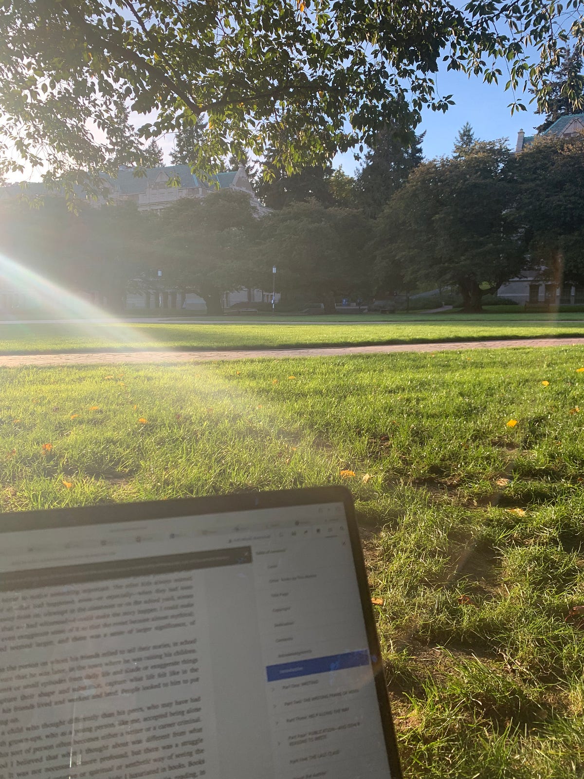 First Quarter Reflections: Navigating First Steps as a Graduate Student ...