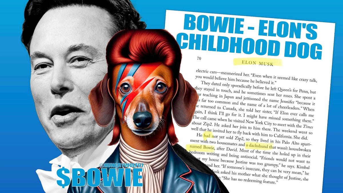 BOWIE: The Newest Dog Meme Coin Inspired by Elon Musk’s Original #Doge ...