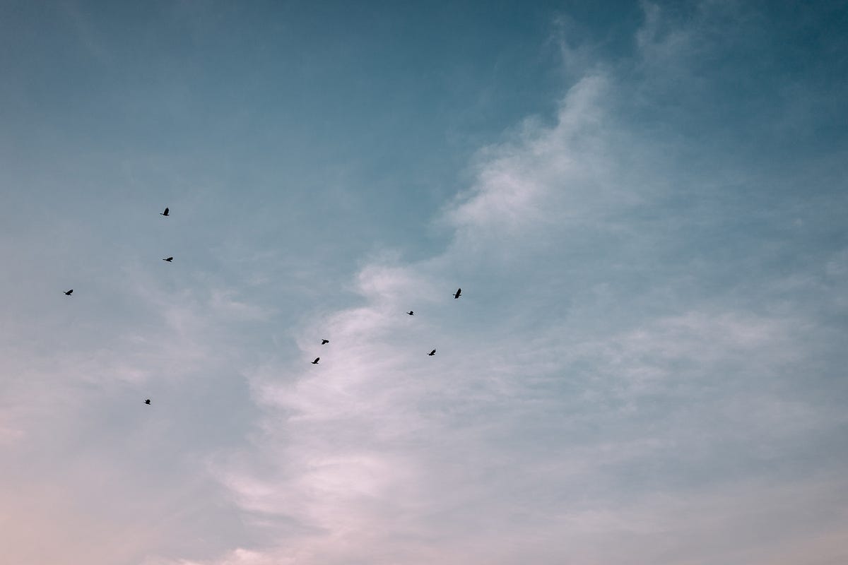 Spirit, Bones & Words - Natalie Goni - Medium