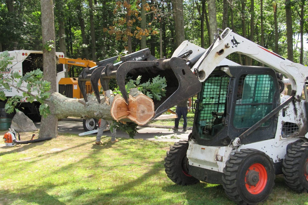 In the Northeast, looking for a Reliable Tree Commercial Service - North Eastern Tree Service ...