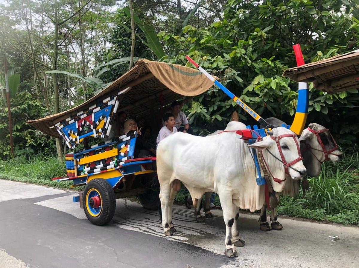 GEROBAK ADVENTURE DESA BAWUKAN. MENYUSURI HUTAN BAMBU DAN PEDESAAN ...