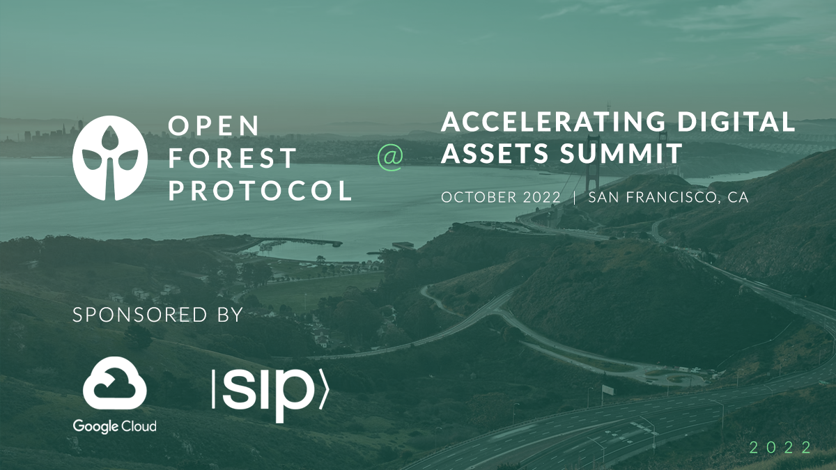 OFP At Google: The Future of Regenerative Assets | by Open Forest Protocol | Open Forest ...
