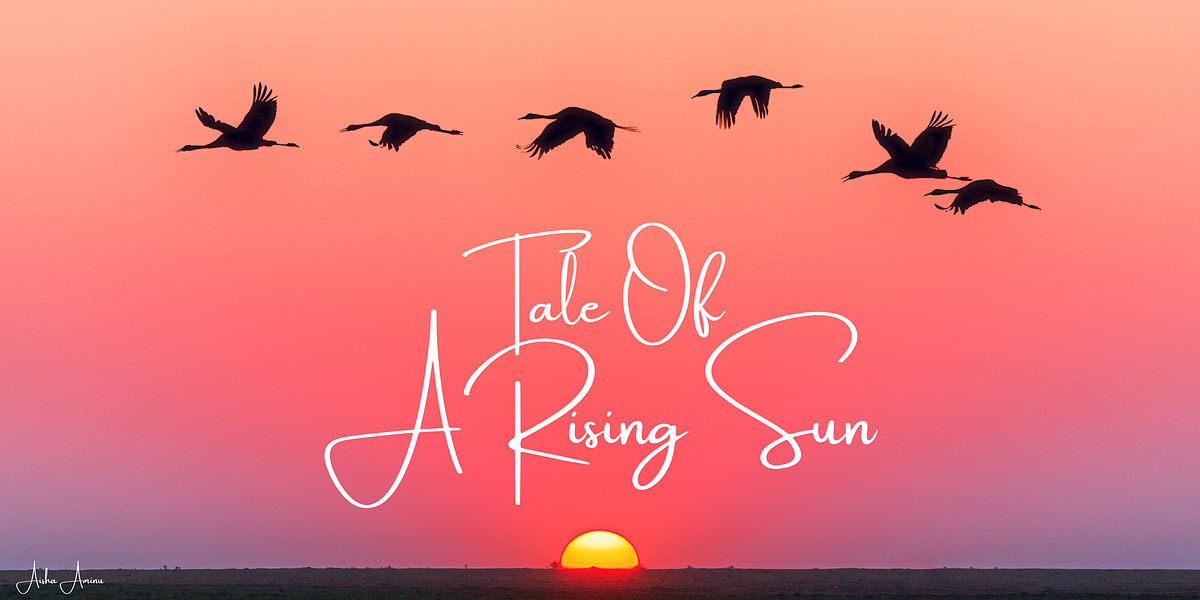 Tale Of A Rising Sun. With each brutal, spirit-shattering… | by Aisha Aminu | May, 2023 | Medium
