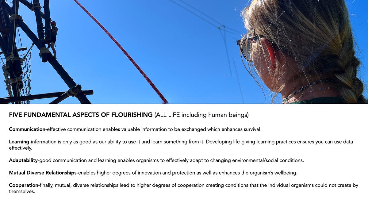 Five Fundamental Elements of Life | by Doc Klein | Medium