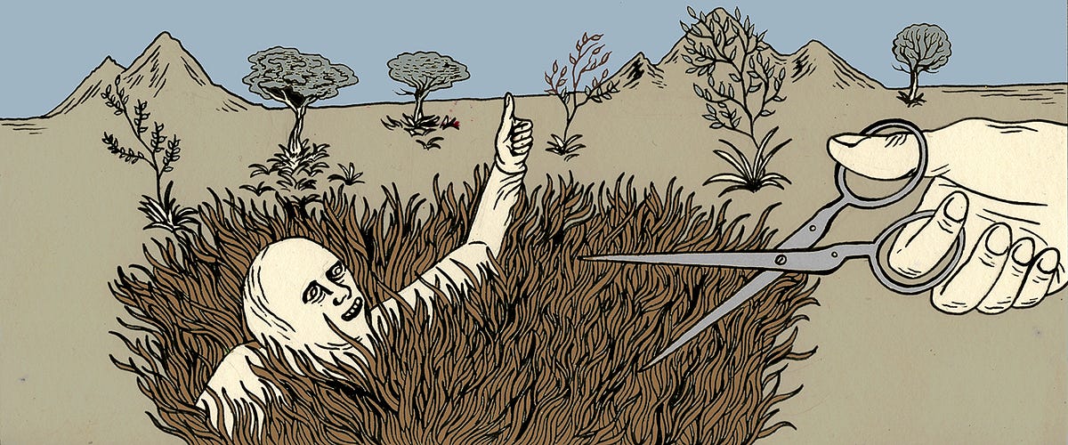 Trimming Your Pubes Won’t Give You Gonorrhea | by John McDermott | MEL ...