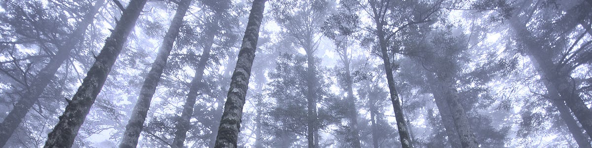 Natural Selection Can’t See the Forest for the Trees | by Stevan ...