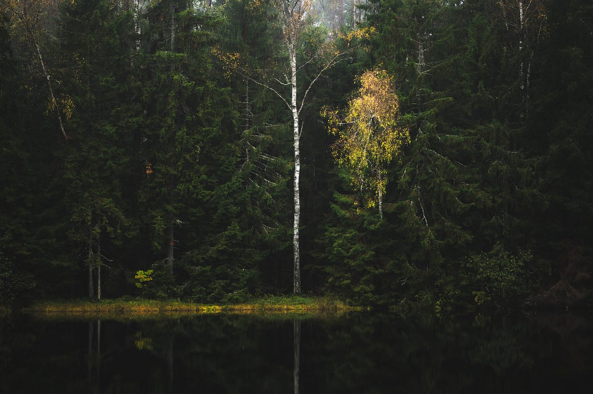 Echoes Rain-soaked Reflections Brandon Moore Poem | iPoetry
