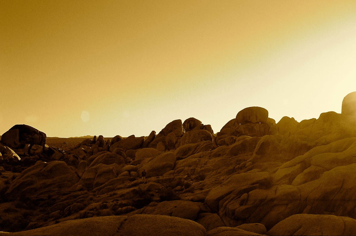 Relationship Planning for Optimists | by Jeff Davis | Medium