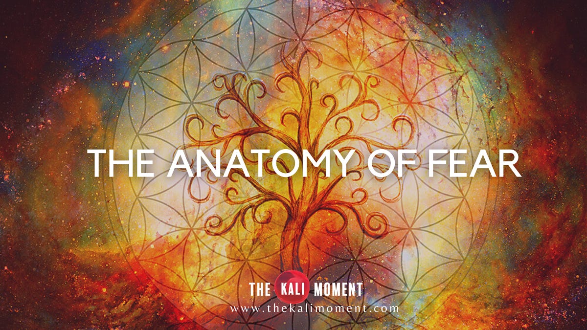 THE ANATOMY OF FEAR. To understand this, let’s go to our… | by Ekta ...