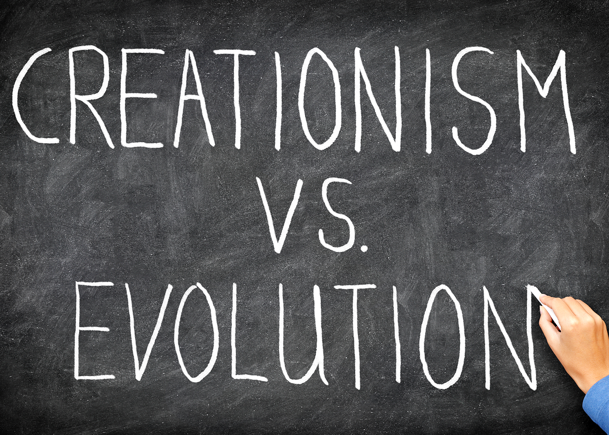 What Is Evolutionary Creation?. Evolutionary creation claims that the ...
