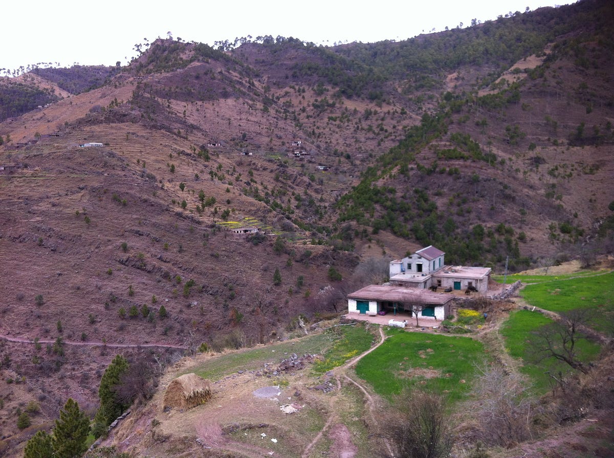 The story of the first generation child of immigrant parents who ...