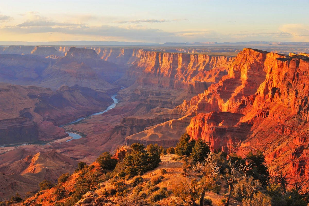 Canyon - Nora Cubberly - Medium