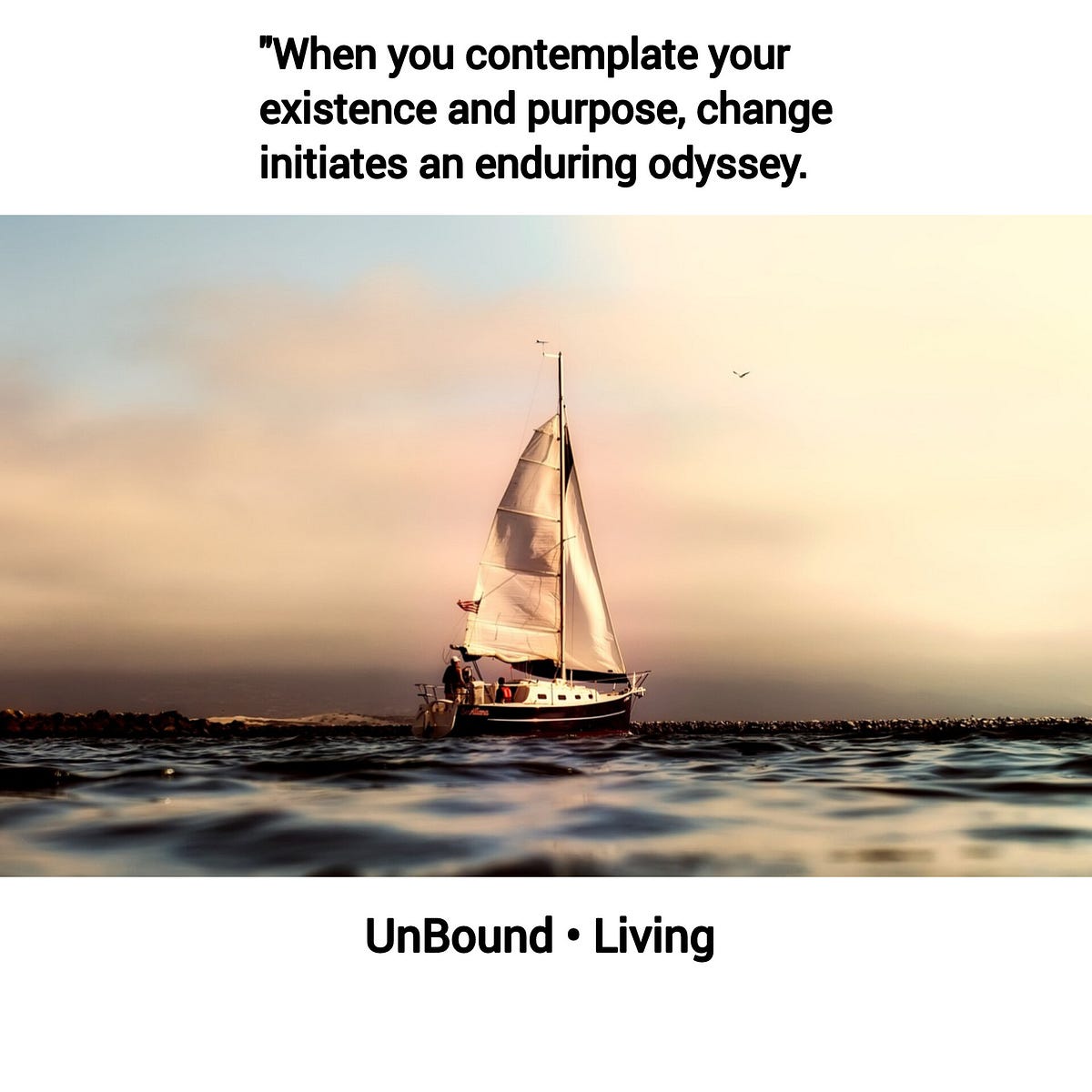 Living Deliberately UnBound. A Journey of Healing and Growth | by Sher ...