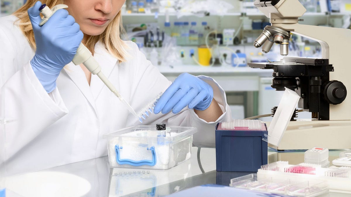 USSF GMP: Elevating Biotech and Pharmaceutical Facility Standards | by ...